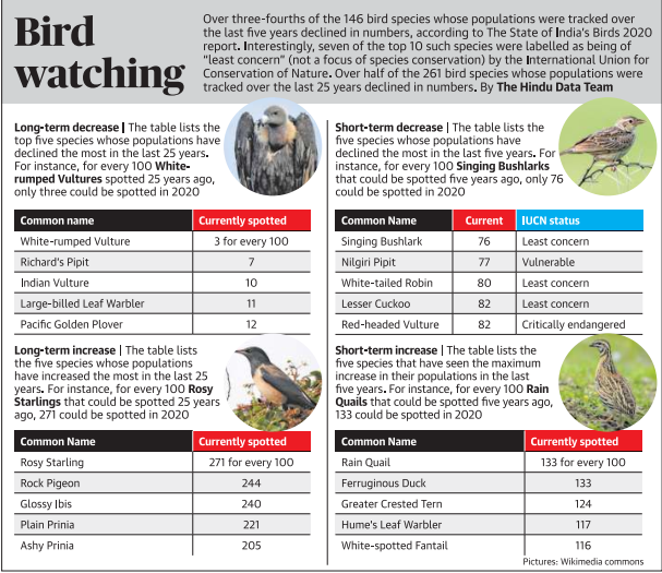 INDIA’S BIRD POPULATION SUFFERS LONG-TERM DECLINE | Legacy IAS Academy