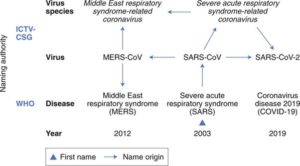 EXPLAINED: TYPES OF HUMAN CORONAVIRUSES - Legacy IAS Academy